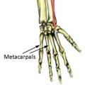 Hand & Finger Injuries Explained | Sportsinjuryclinic.net