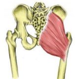 Myofascial Pain in Buttock Muscles - symptoms, causes & treatment