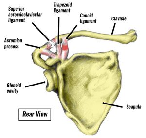 AC Joint Sprain/Separation - Diganosis, Taping & Exercises | Sports Injury